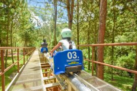 Dahilayan Adventure Park to launch Razorback, Philippines’ first alpine ...