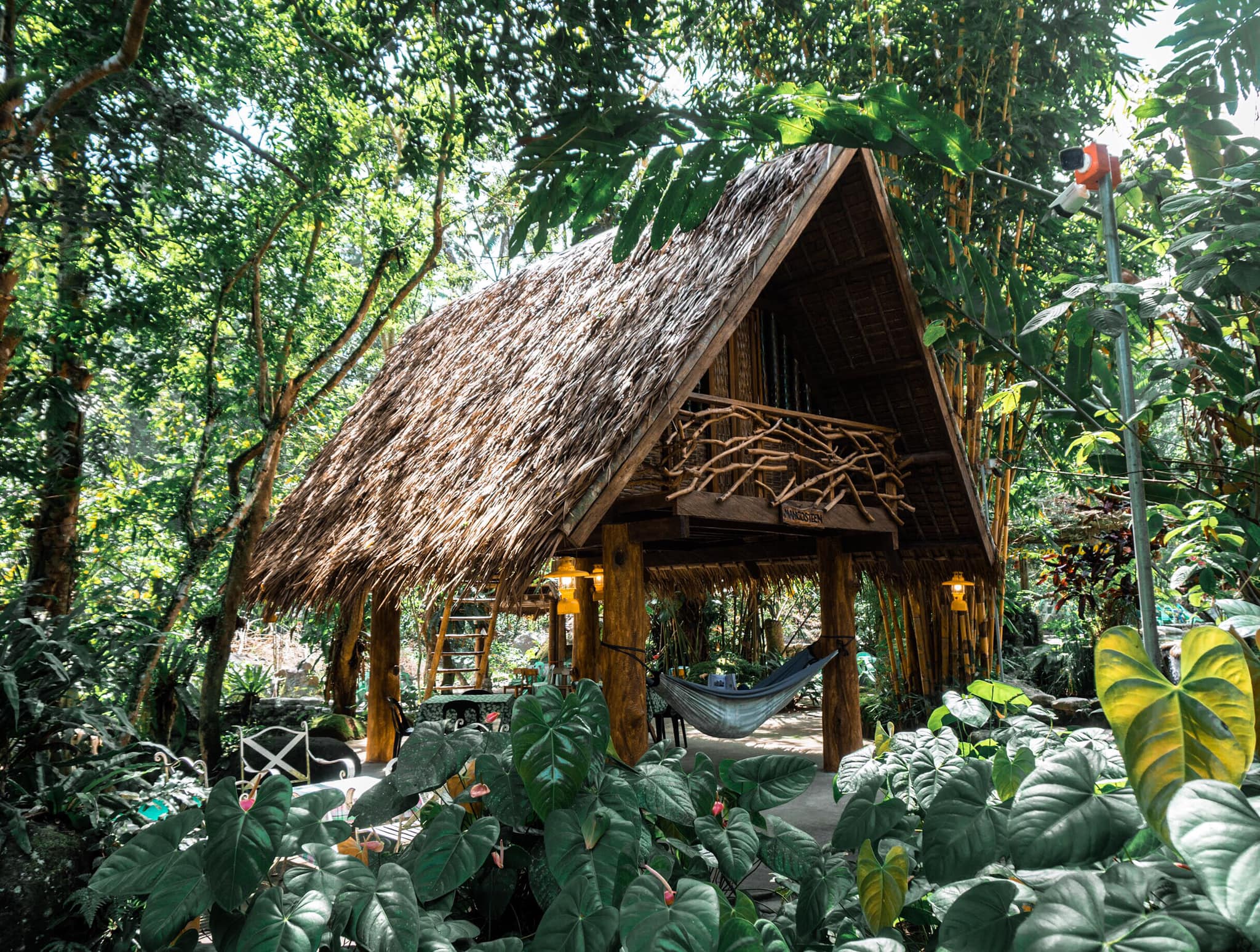 Dreamy staycation at Forest Camp Mountain Resort in NegOr - VisMin.ph