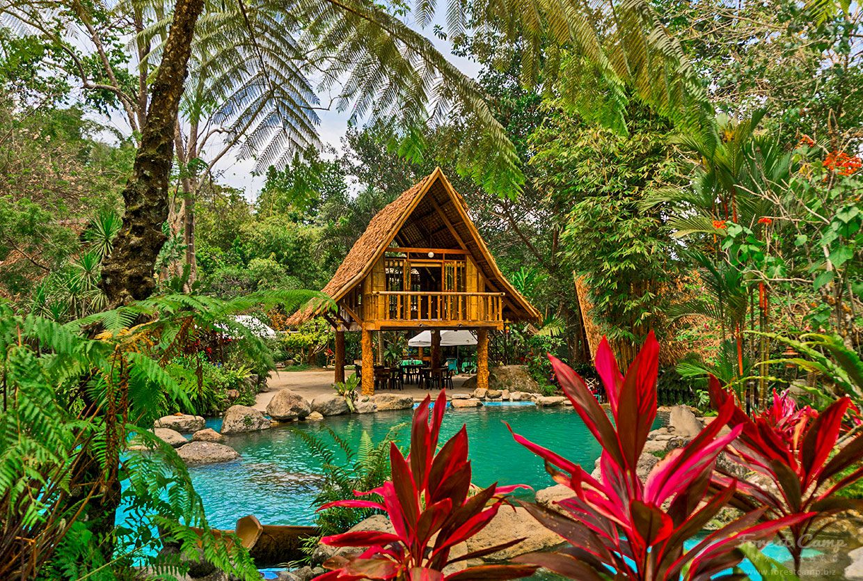 Dreamy staycation at Forest Camp Mountain Resort in NegOr - VisMin.ph