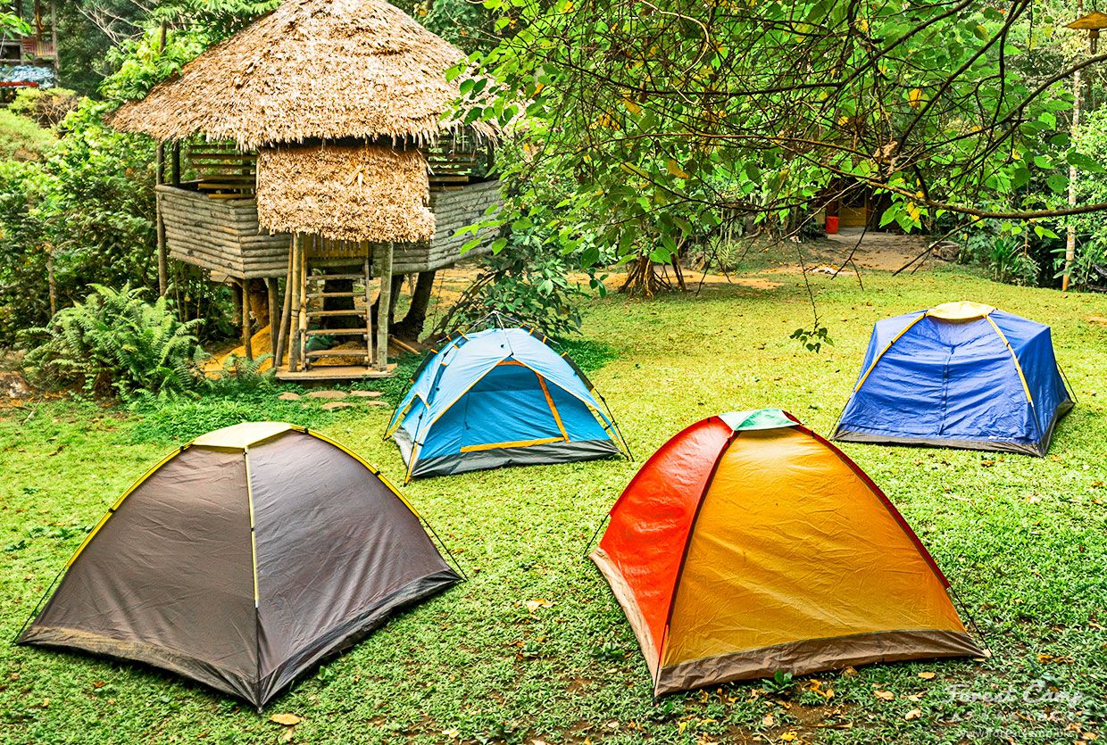 Dreamy staycation at Forest Camp Mountain Resort in NegOr - VisMin.ph