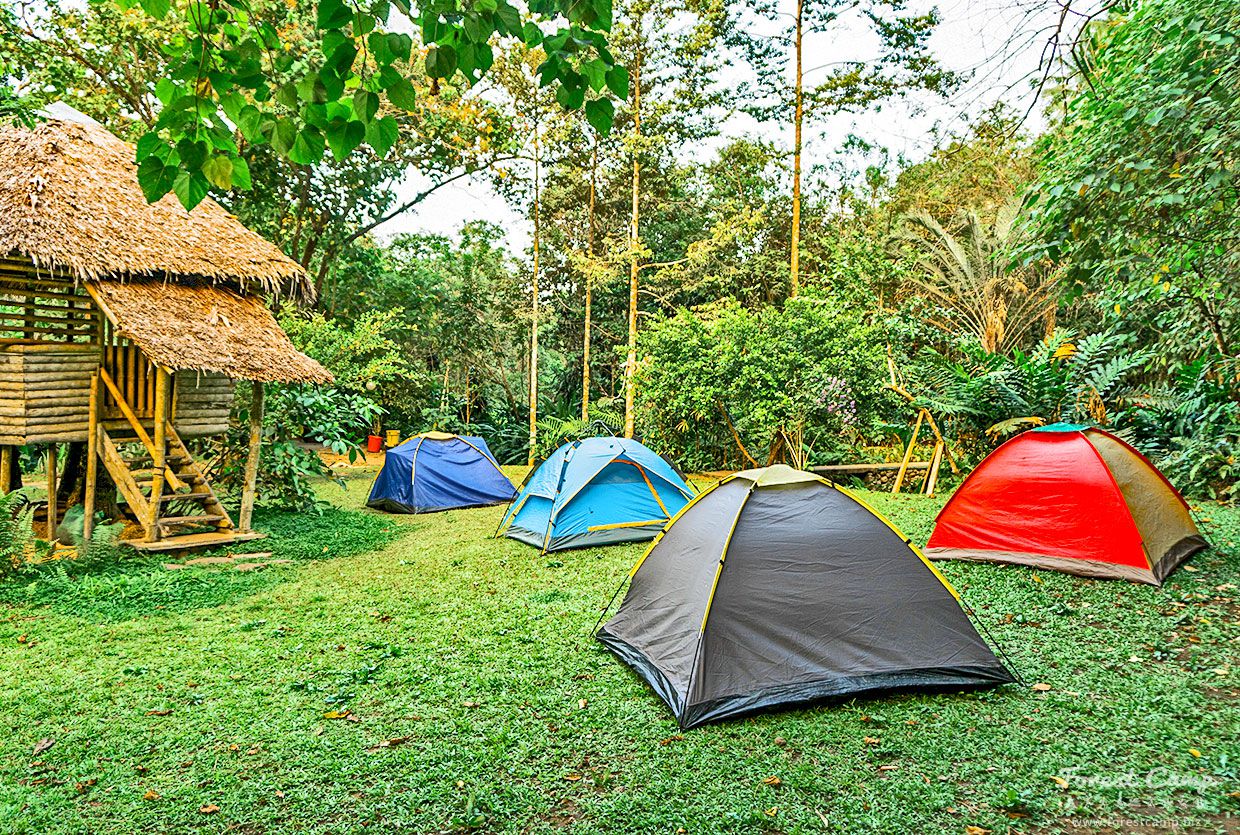 Dreamy staycation at Forest Camp Mountain Resort in NegOr - VisMin.ph