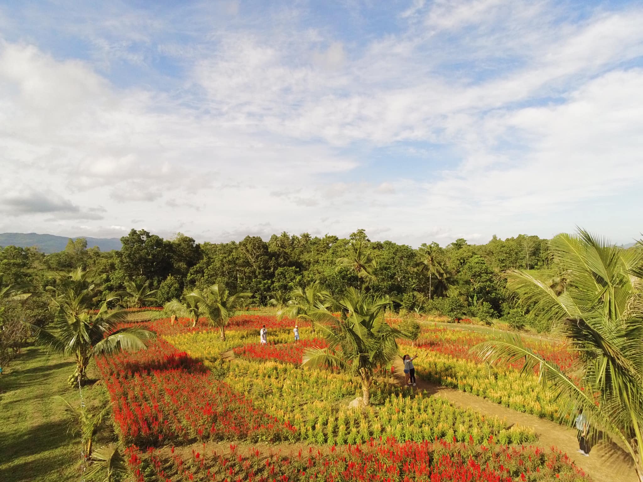 30-Peso Entrance at RJ Javier’s Tropical Farm in Bohol - VisMin.ph