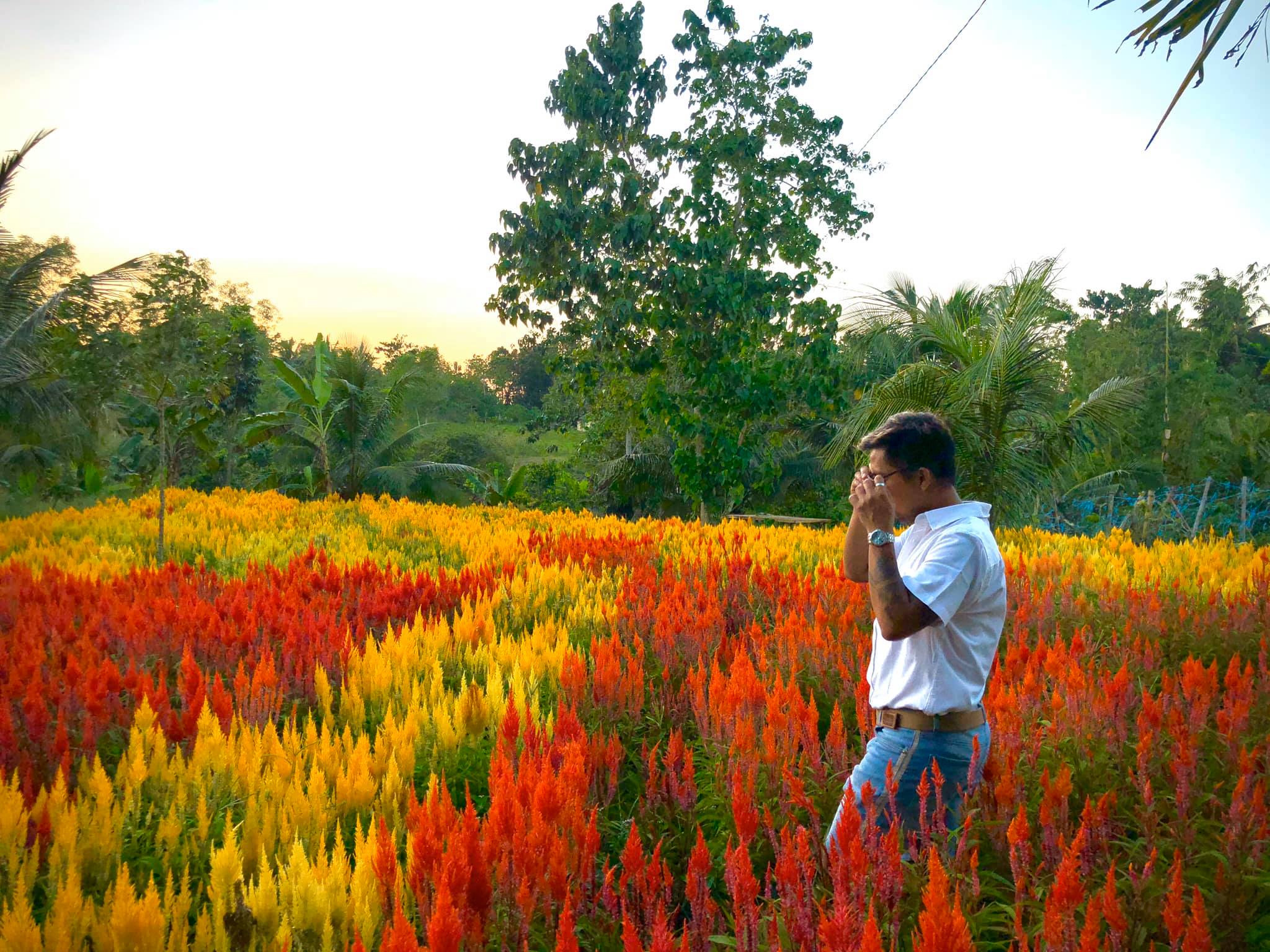 6 Most Beautiful Flower Gardens in the Philippines - VisMin.ph