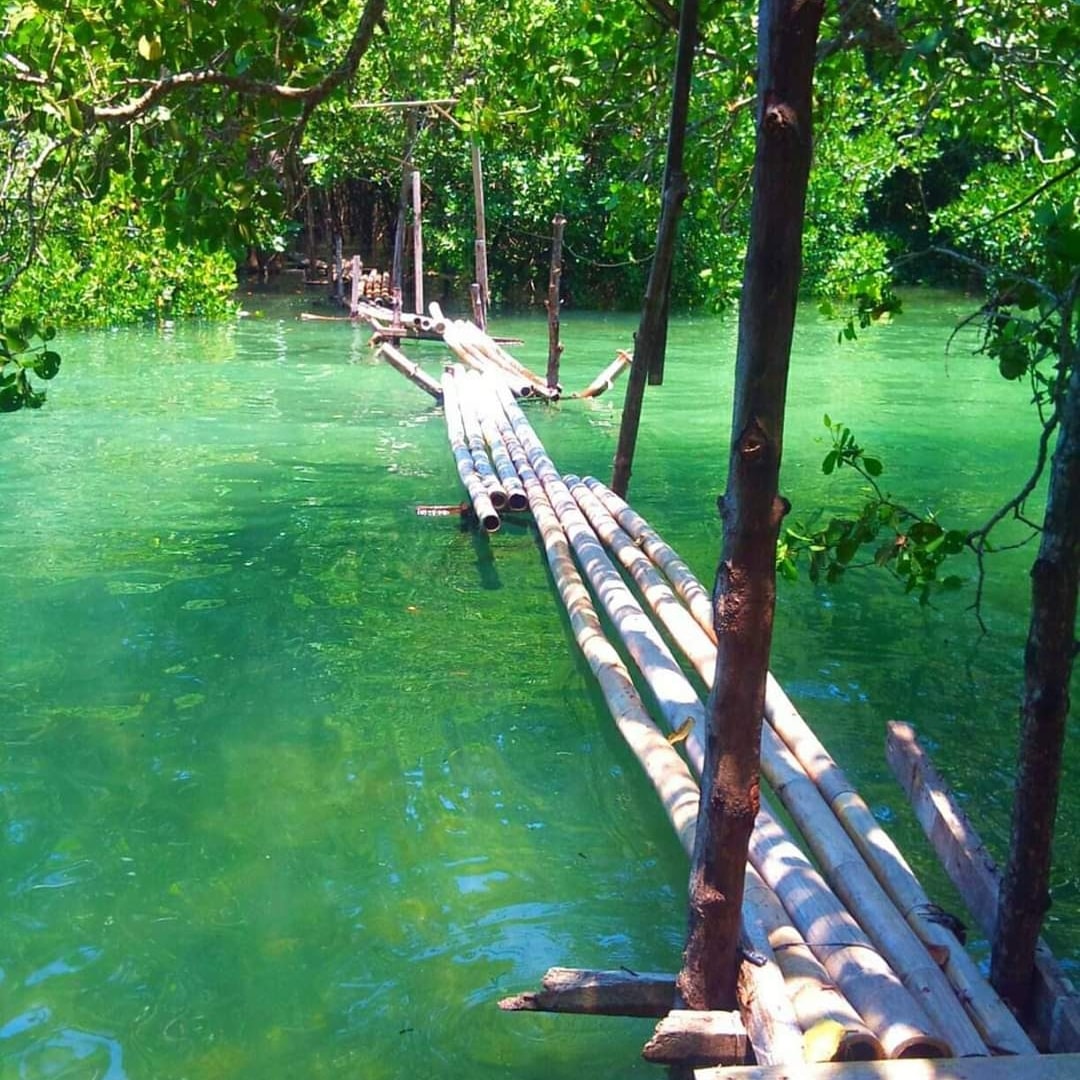 Get off the grid and get your soul right at 'Trash House Bohol'