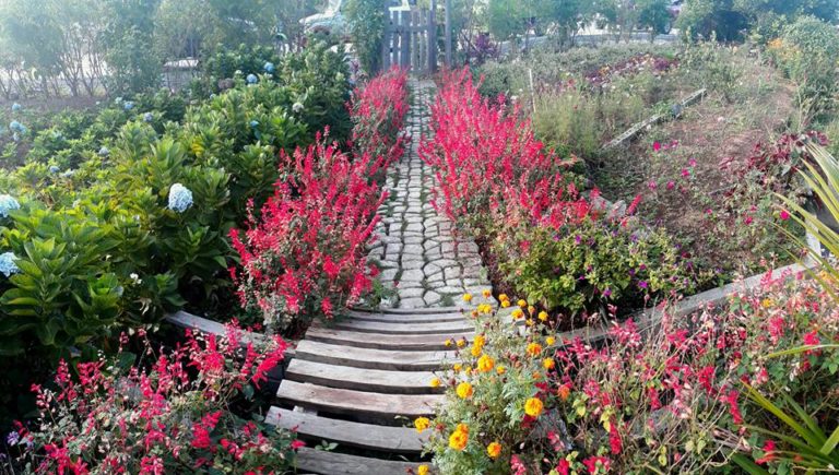 Panoramic mountain view at Heaven’s Peak in Ormoc City - VisMin.ph
