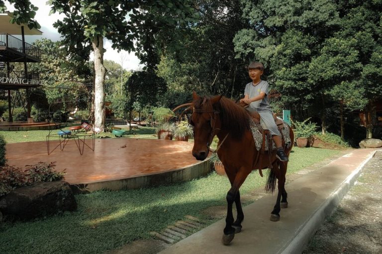 Malagos Garden Resort and the Chocolate Museum in Davao - VisMin.ph