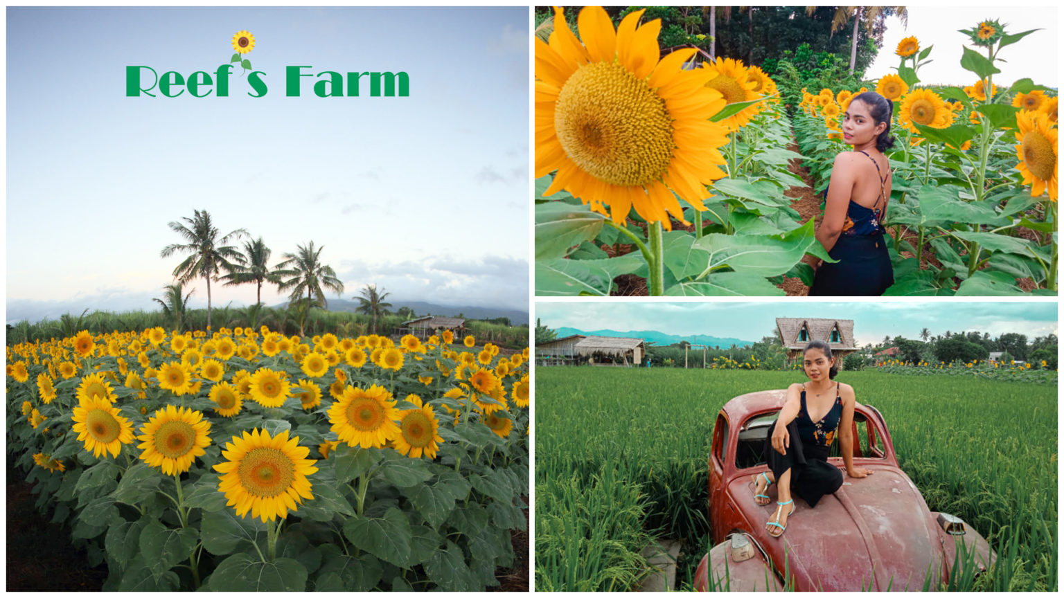Reef’s Farm: A Laidback Escape in Tanjay City - VisMin.ph