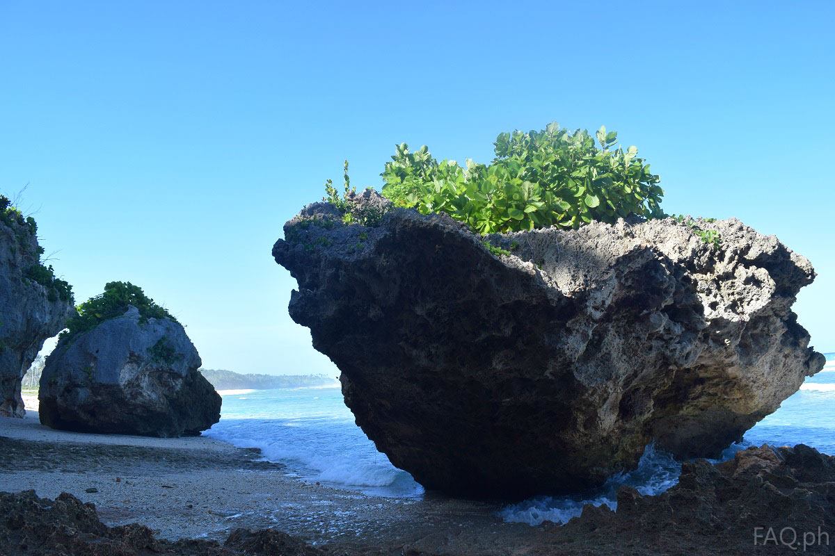Beauty in Tragedy: Discover the beach in Samar named after Supertyphoon ...