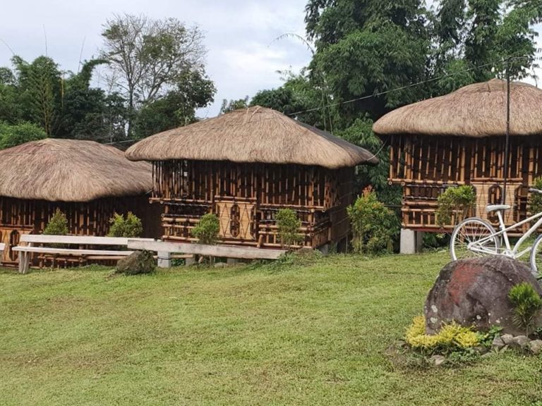 Matutum Blooms Café and Flower Farm: Relaxing Nature Haven in Tupi ...