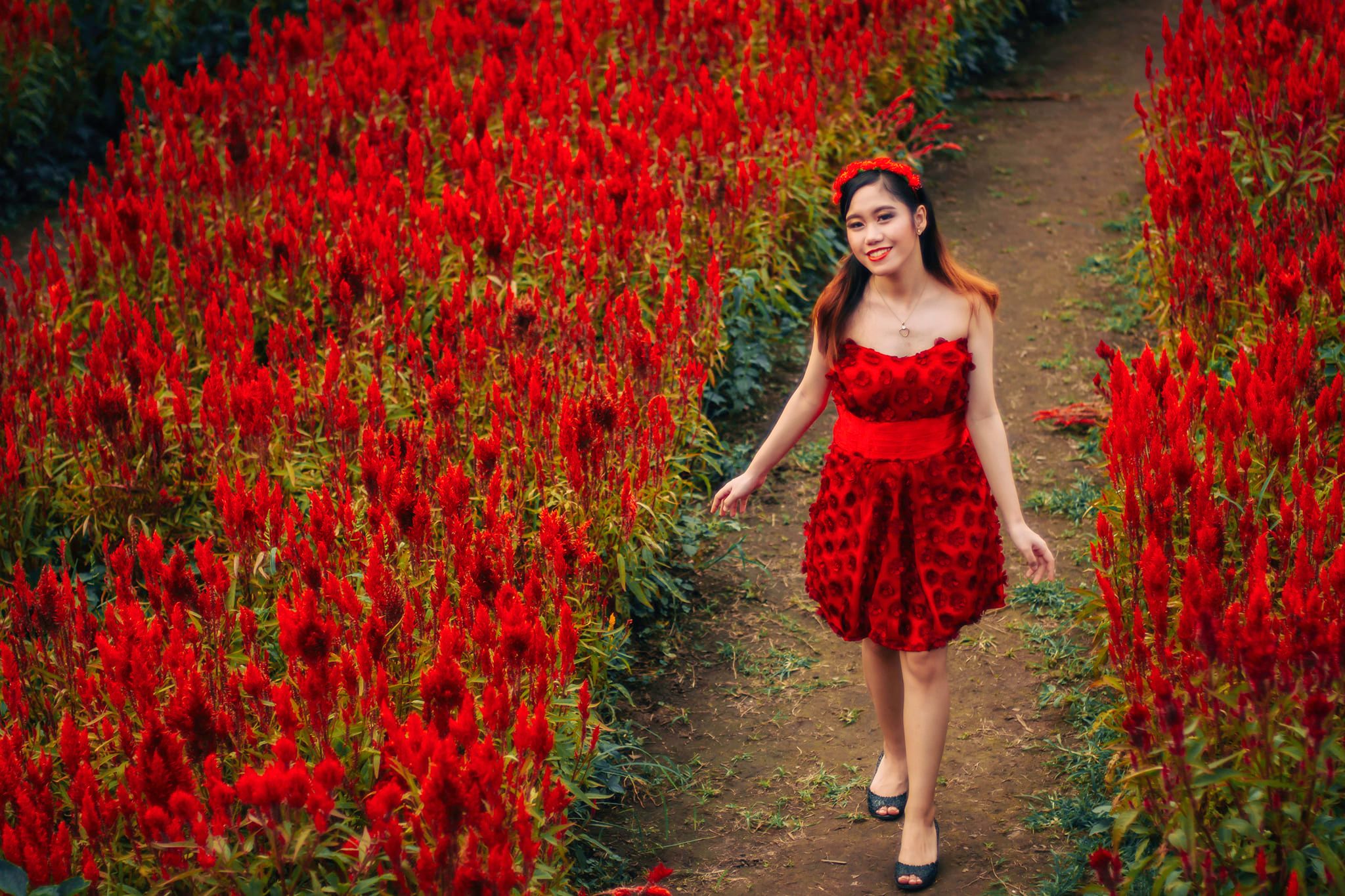 Celosia Flower Farm: Mesmerizing Flower Garden in South Cotabato ...