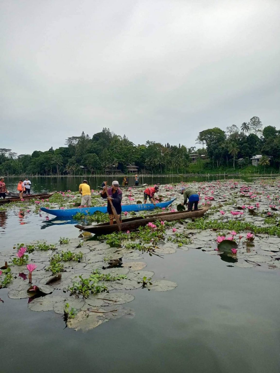 Punta Isla Lake Resort: An Oasis in Lake Sebu, South Cotabato