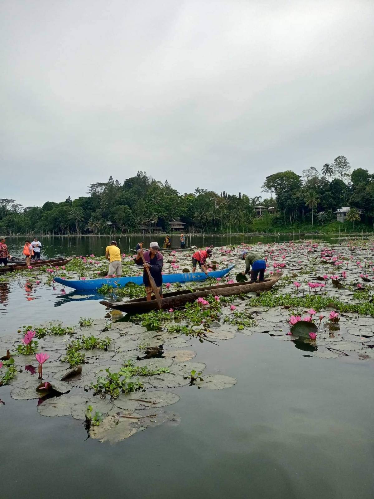 Punta Isla Lake Resort: An Oasis in Lake Sebu, South Cotabato