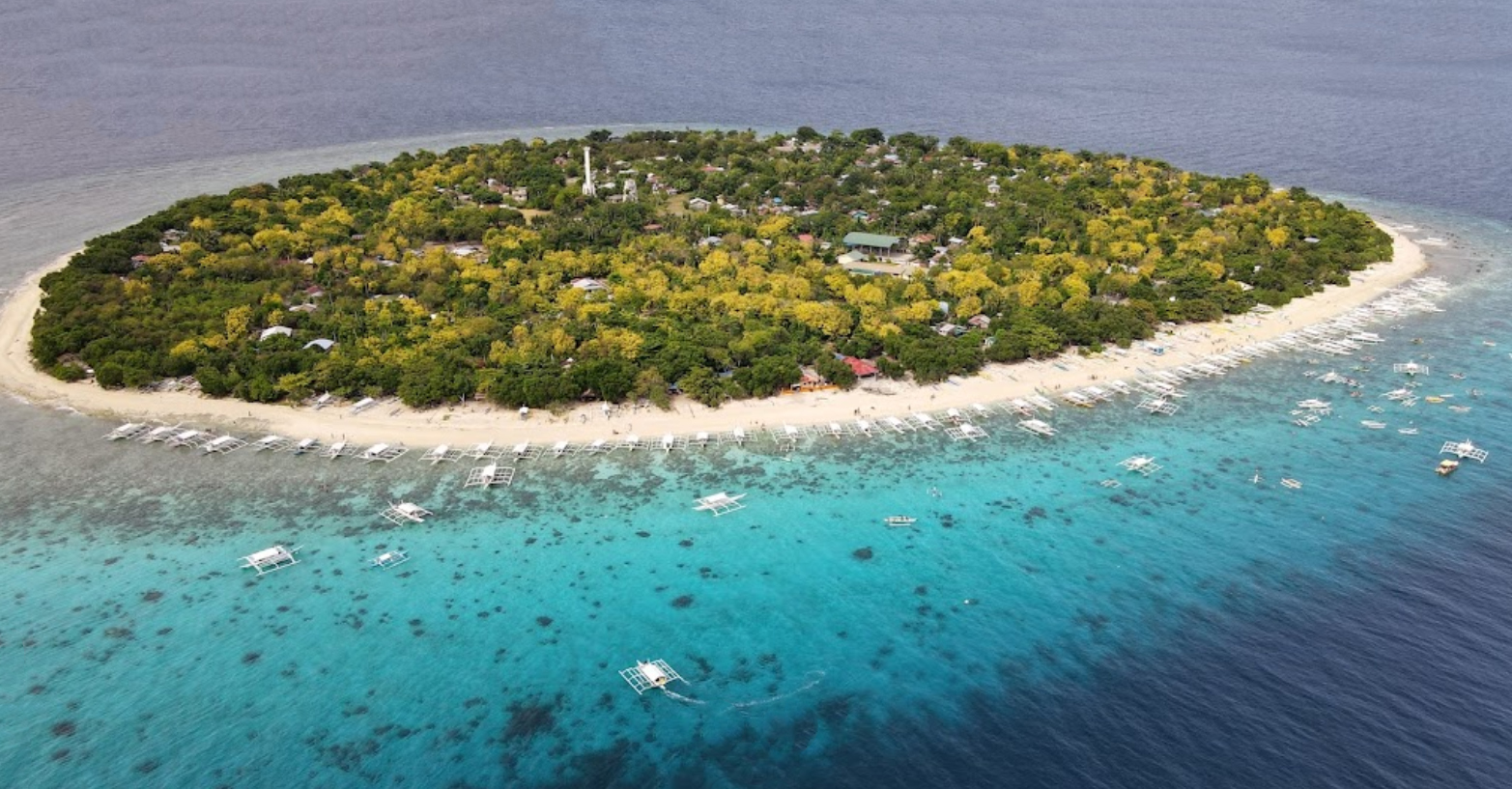 Balicasag Island in Bohol: A glimpse of sanctuary within the sea
