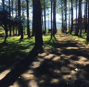 Experience Little Baguio Feels at Almadria Highlands in Bacolod - VisMin.ph