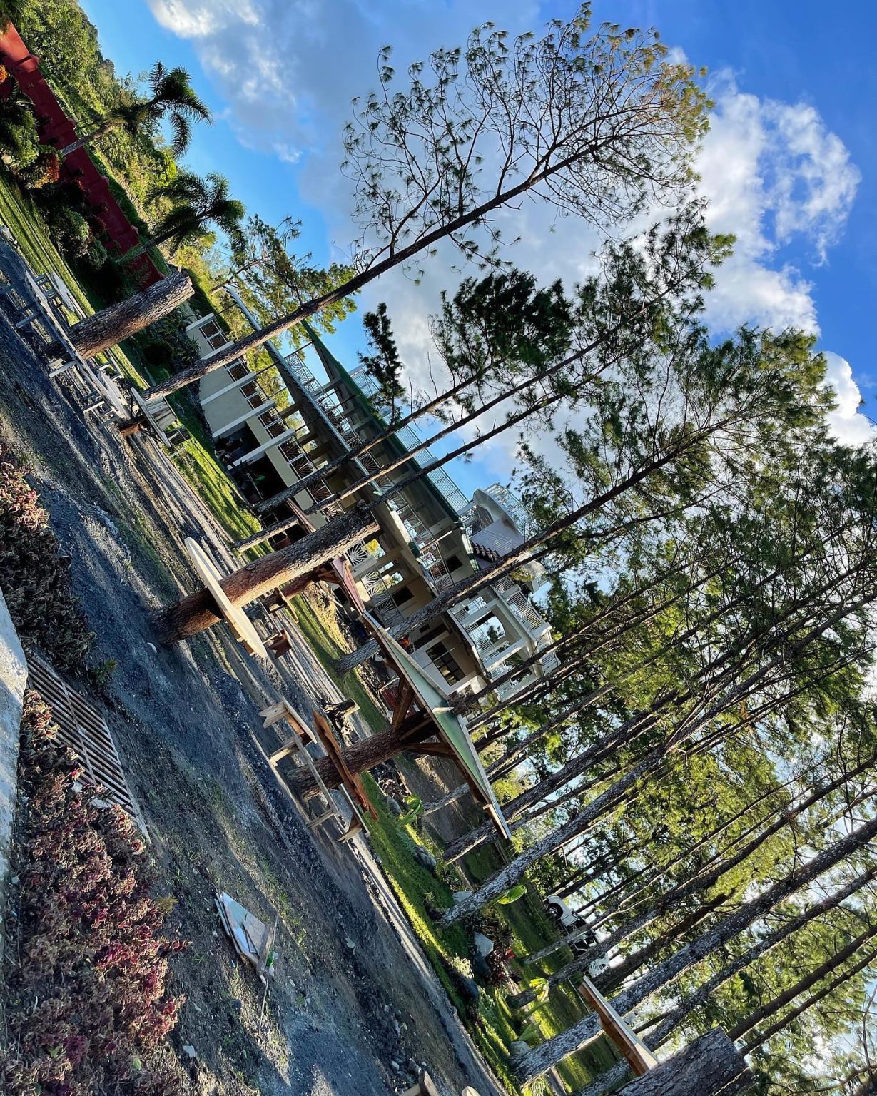 Experience Little Baguio Feels at Almadria Highlands in Bacolod - VisMin.ph