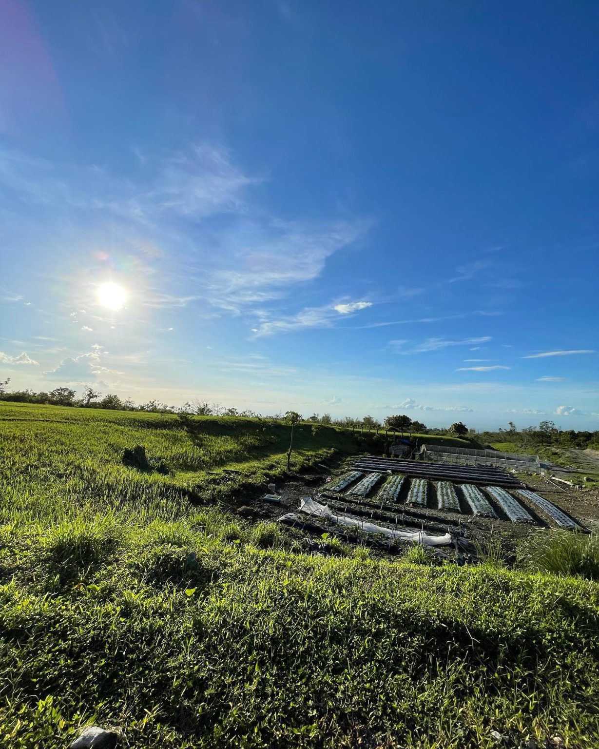 Experience Little Baguio Feels at Almadria Highlands in Bacolod - VisMin.ph