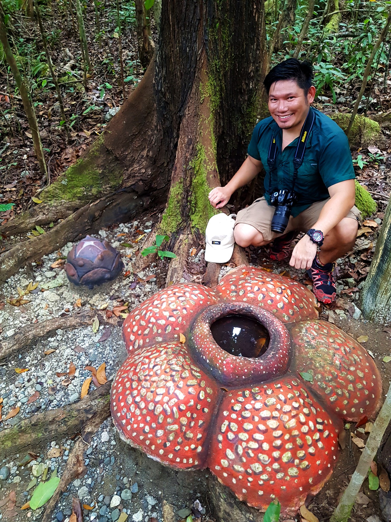 Antique’s Natural Park features Rainbow River, World’s Giant Flower ...