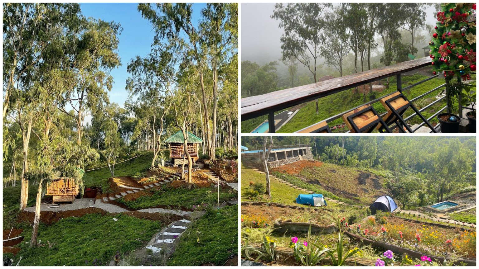 Reddy's Mountain Resort Archives - VisMin.ph