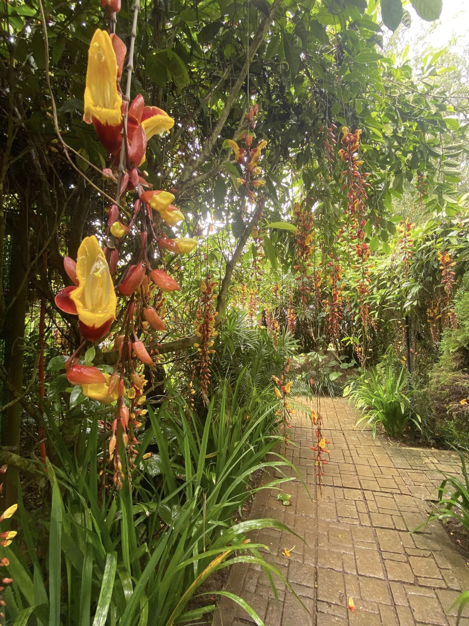 Relax and unwind in these 5 mountain resorts in Negros Occidental