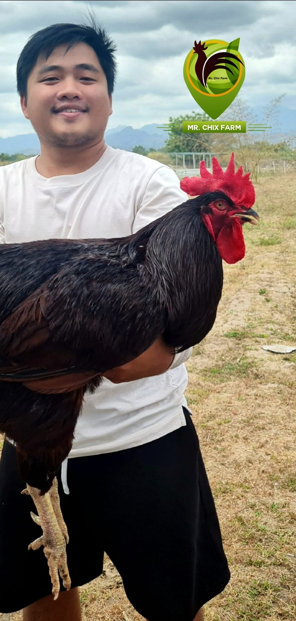 This engineering graduate became a millionaire with his chicken breeding business