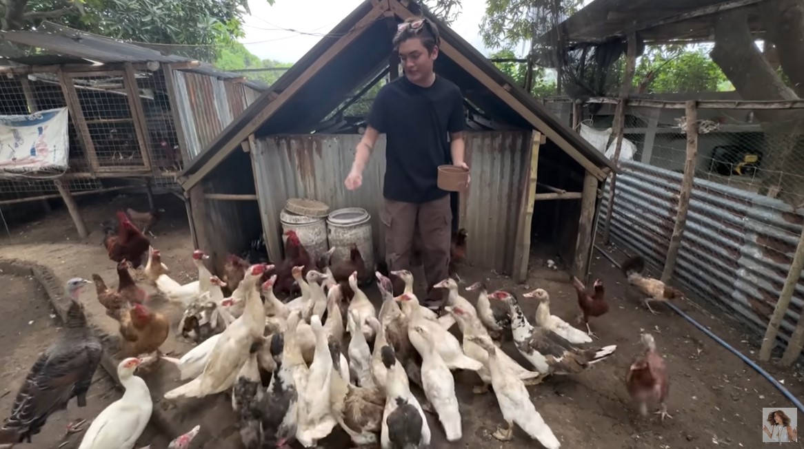 Seth Fedelin shares a glimpse of the half-hectare farm he got for his ...