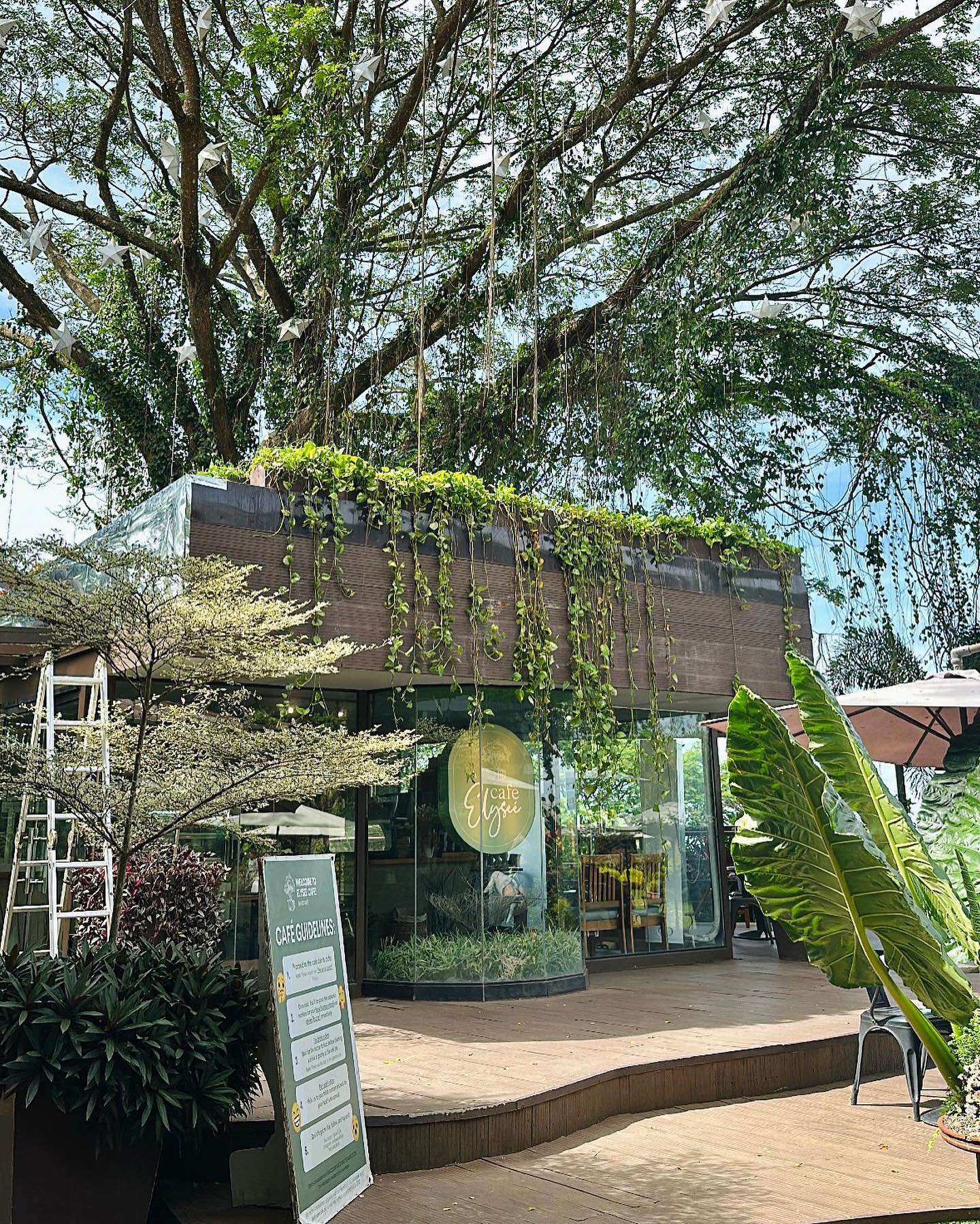 LIST: Top 5 Cafe Restaurants to Visit in Cagayan de Oro - VisMin.ph