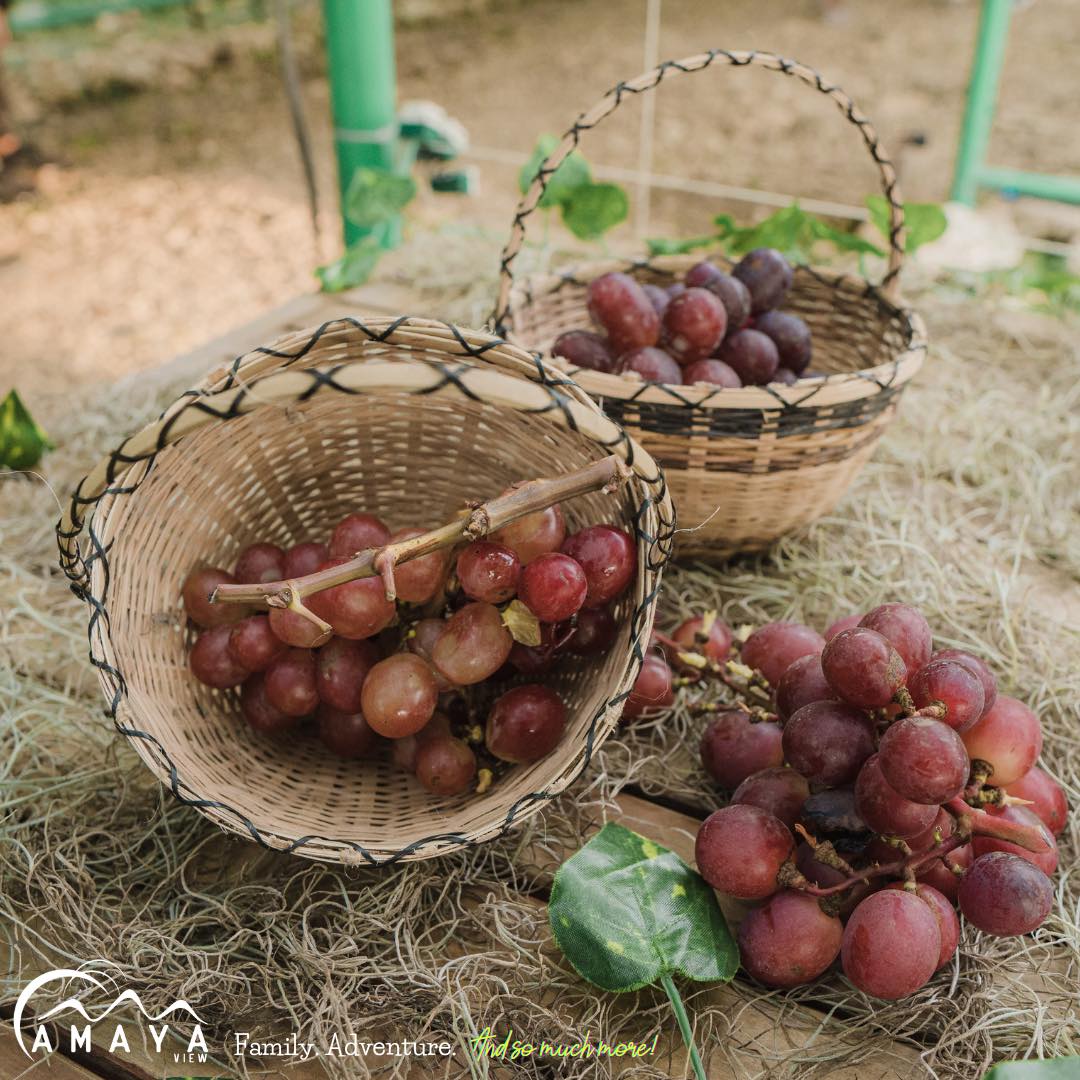 Indulge in Fun Hilltop Escapades with Amaya View at Cagayan de Oro