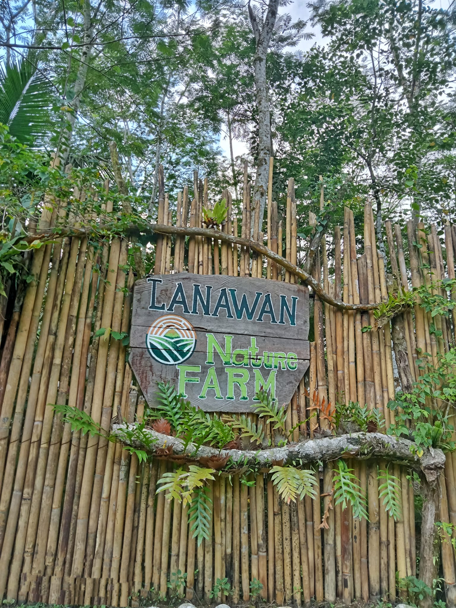 A Garden Paradise In The Highlands of Leyte