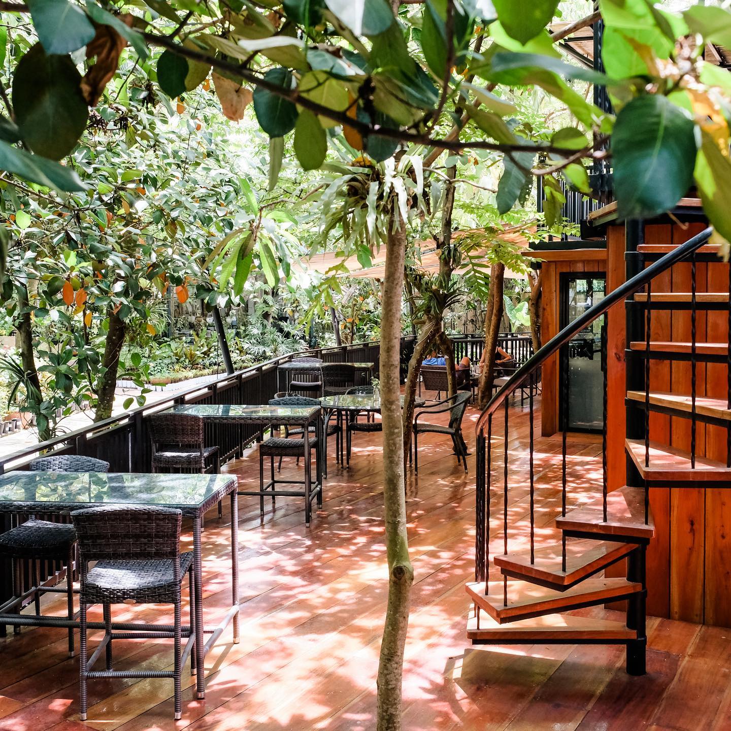 From Cats to Double-Deckers: 5 Unique Cebu Cafes You Must Try