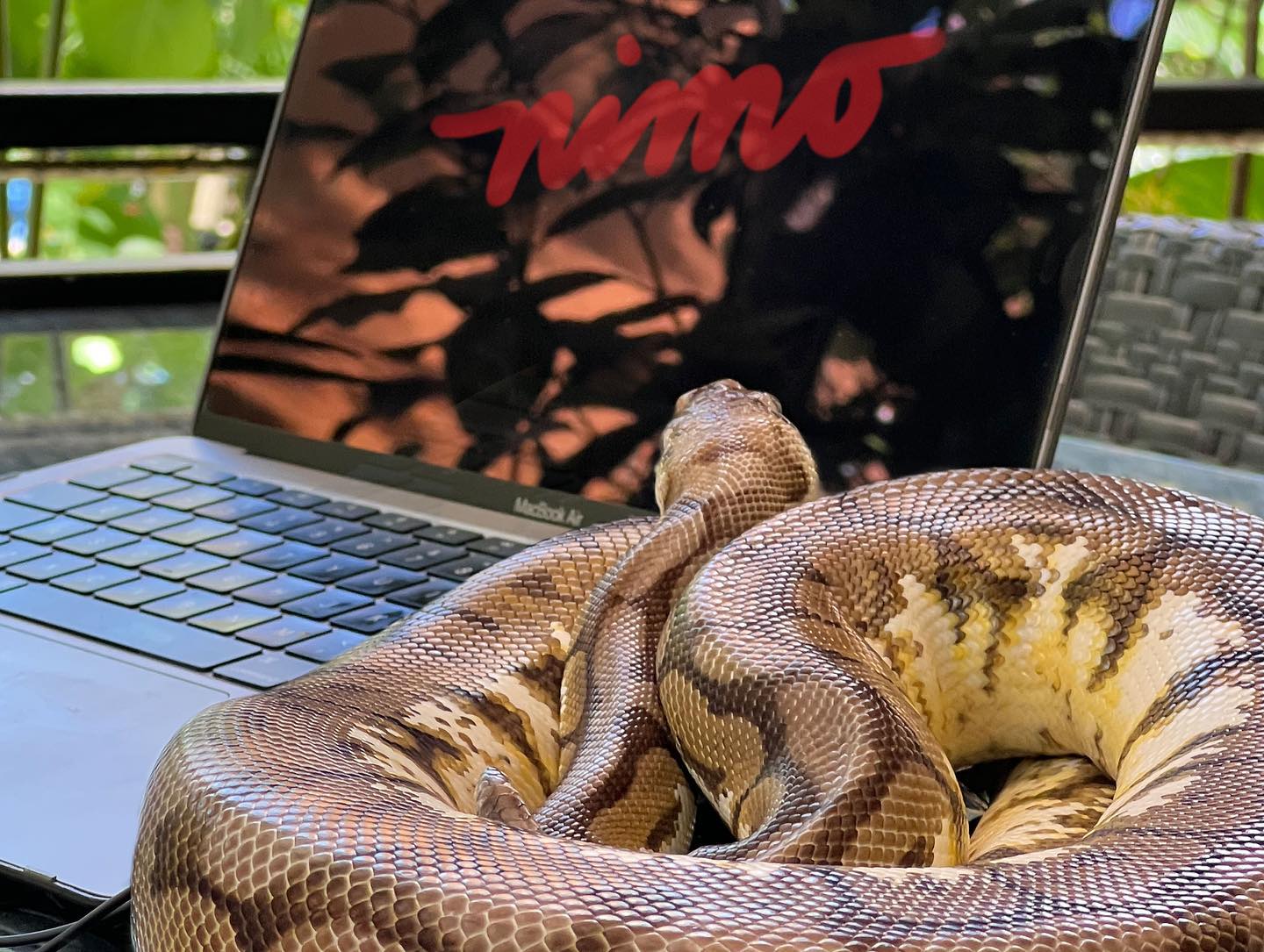 From Cats to Double-Deckers: 5 Unique Cebu Cafes You Must Try - VisMin.ph