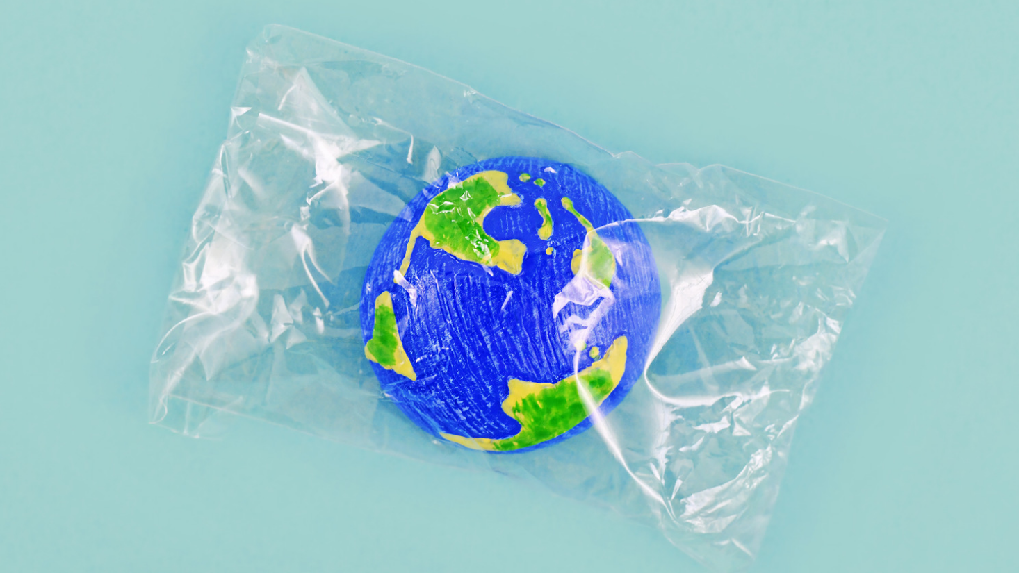 Sustaining Our Planet by Reducing Plastic Waste