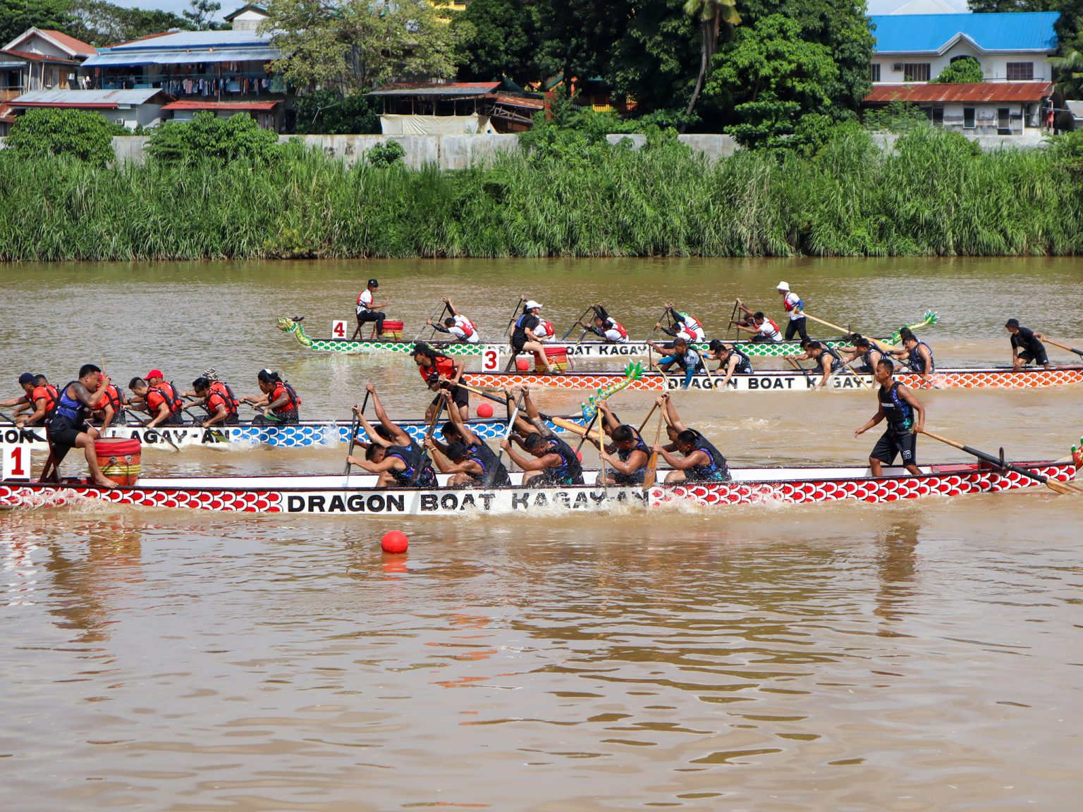 #CagayanDeOro: Unraveling The Mystery Of The Man-Eating Goldfish ...