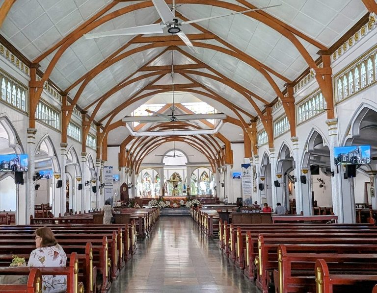 #CagayanDeOro: Unraveling The Mystery Of The Man-Eating Goldfish ...