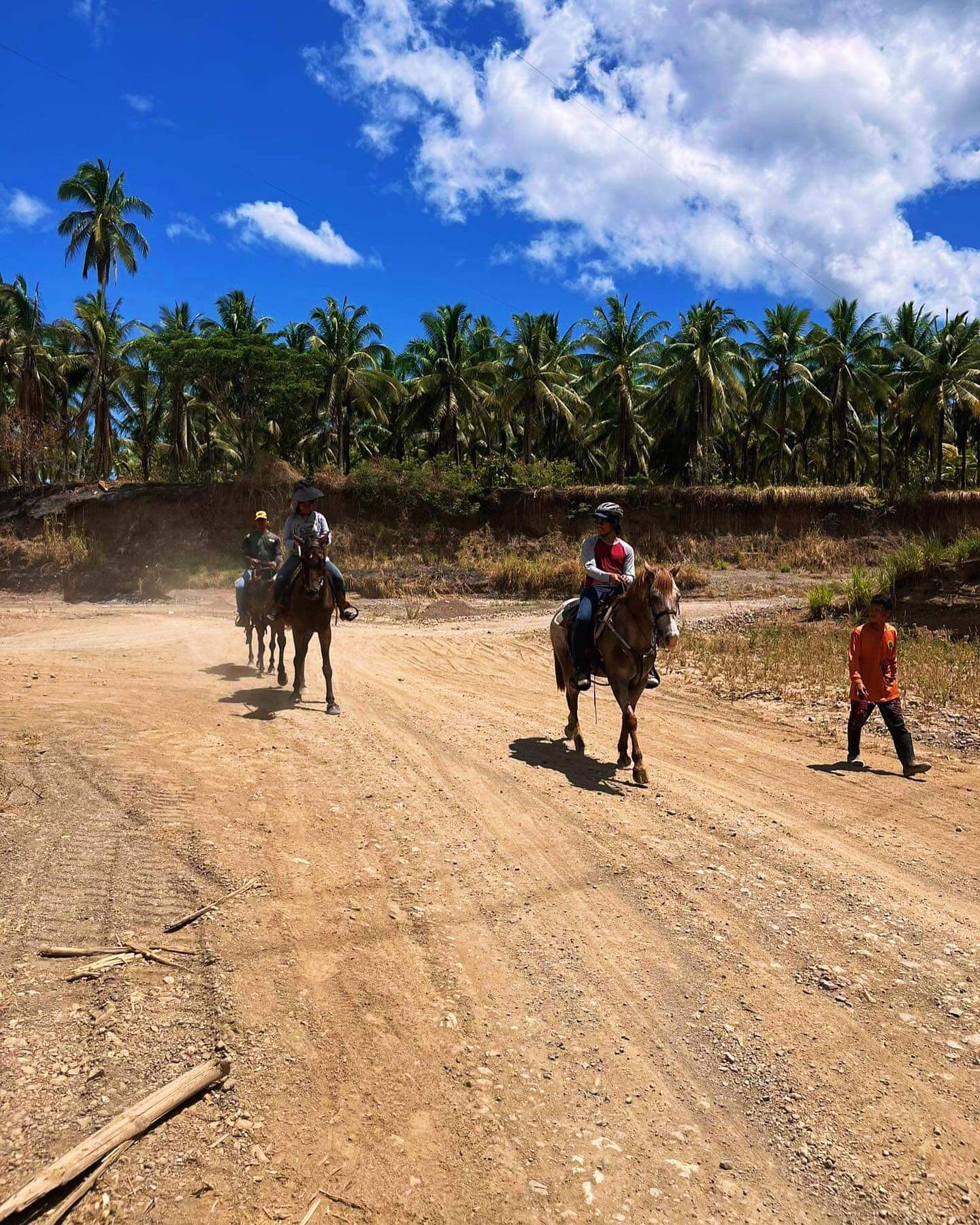 Get Ready To Giddy Yap! At This Horse-Riding Club In Tuburan - VisMin.ph