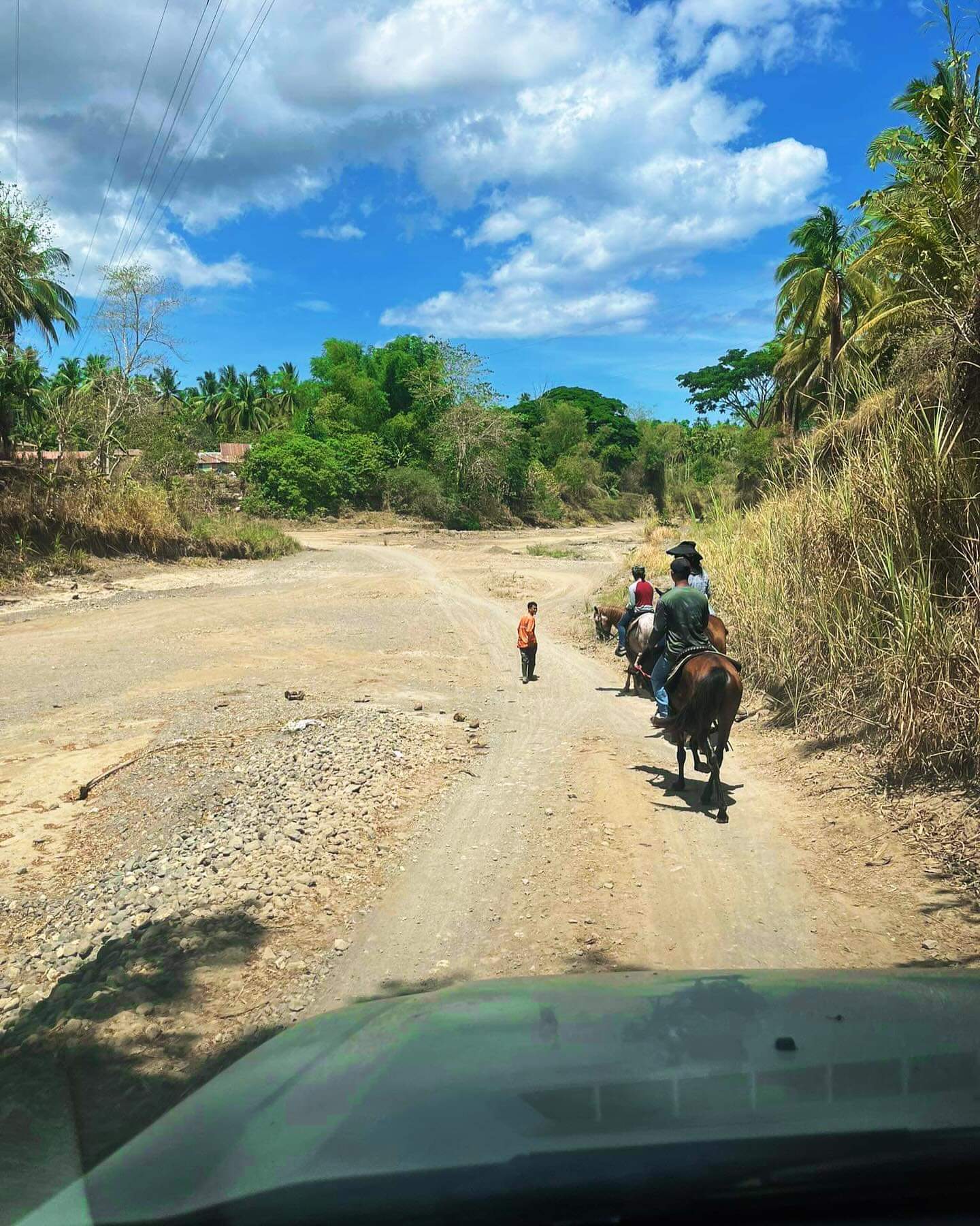 Get Ready To Giddy Yap! At This Horse-Riding Club In Tuburan - VisMin.ph