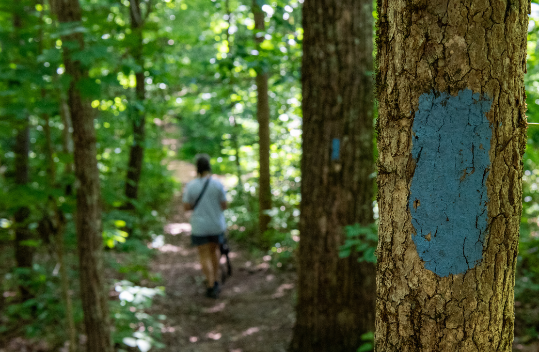 Trail Safety Tips: Get Lost in Nature, Not Literally! - VisMin.ph