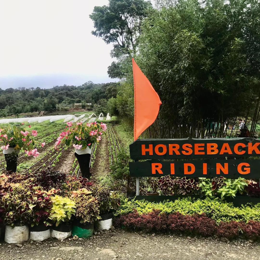 #Davao: Fresh Produce & Fun Adventure Awaits You at Bemwa Farm - VisMin.ph