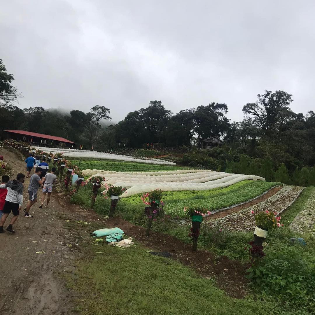 #Davao: Fresh Produce & Fun Adventure Awaits You at Bemwa Farm