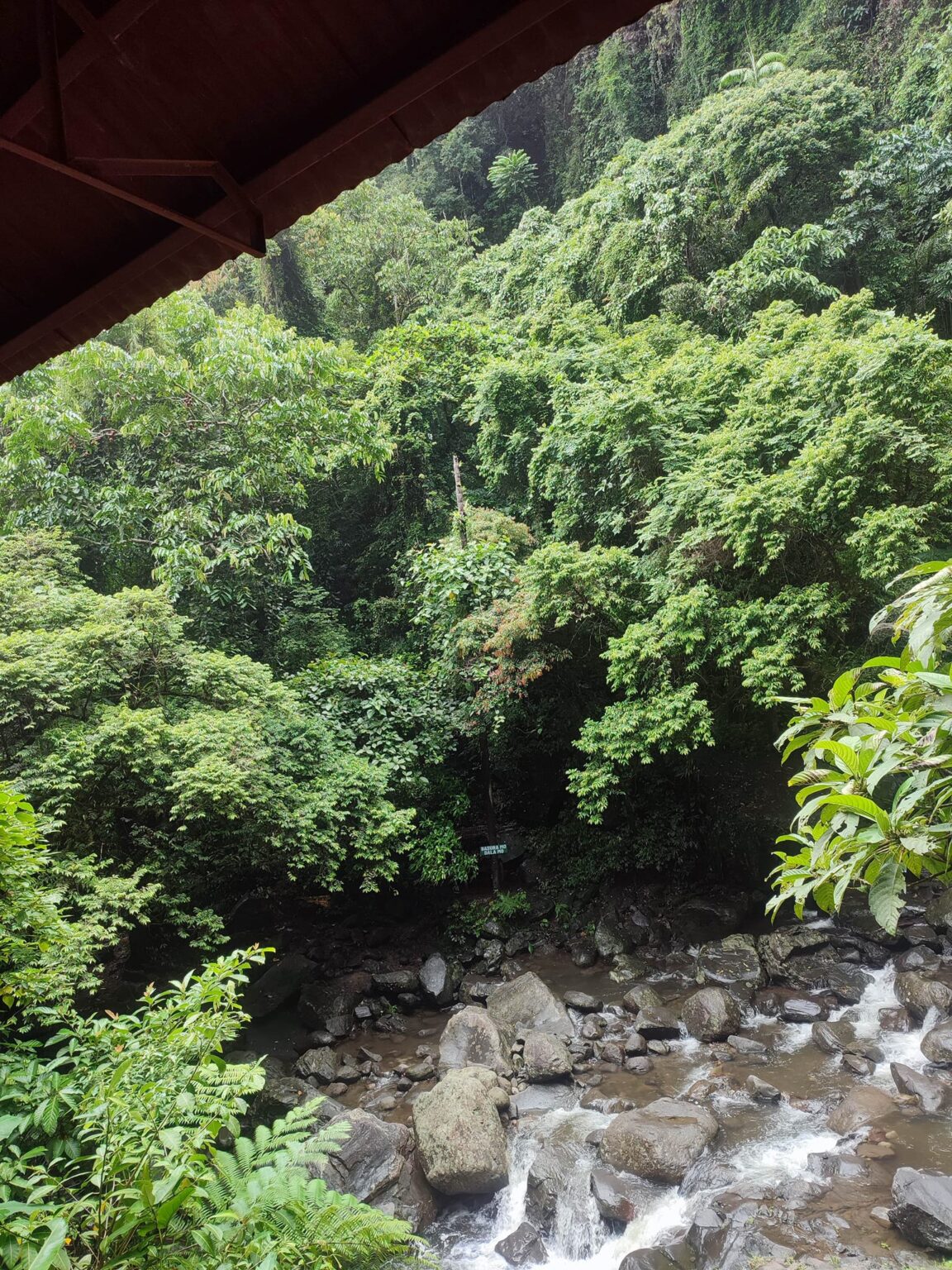 Your Guide to Biliran: Tourist Spots You Should Visit! - VisMin.ph