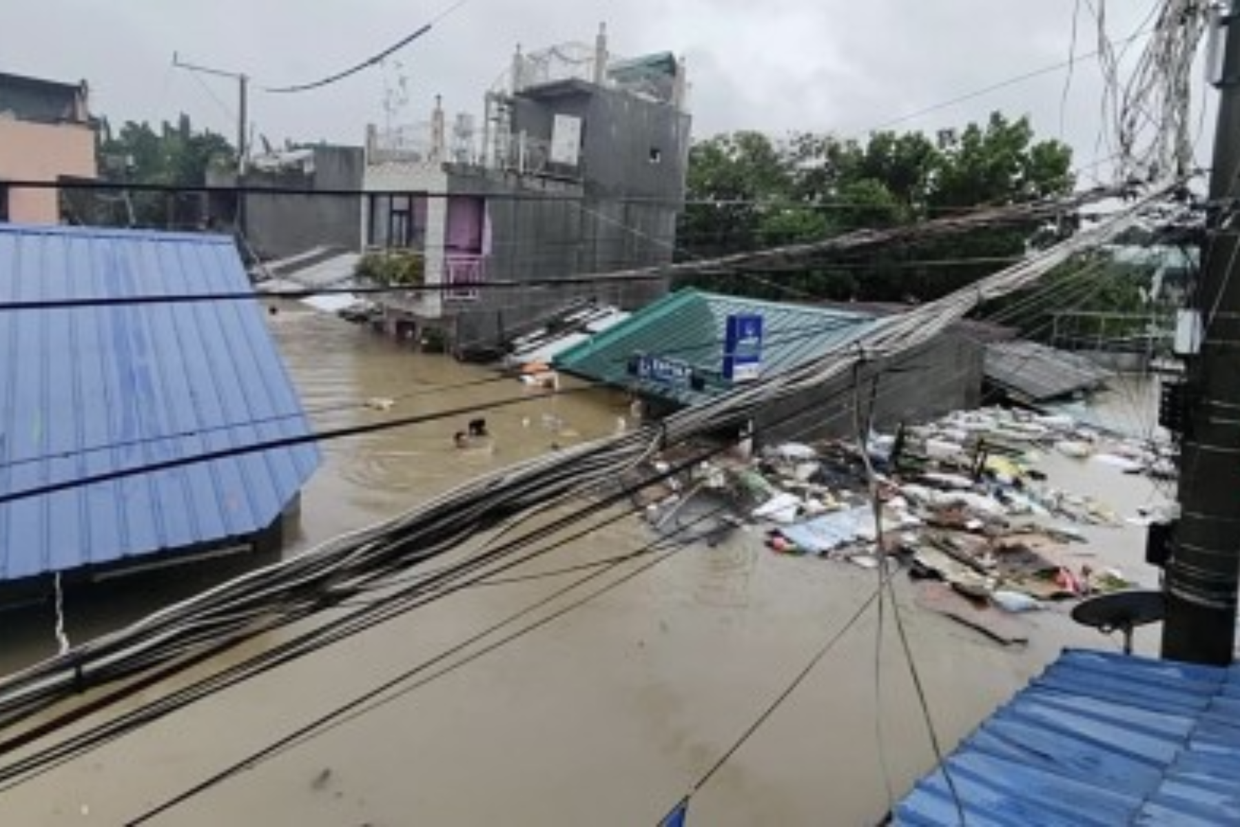 Typhoon Carina Strikes Hard: Luzon Faces Major Impact