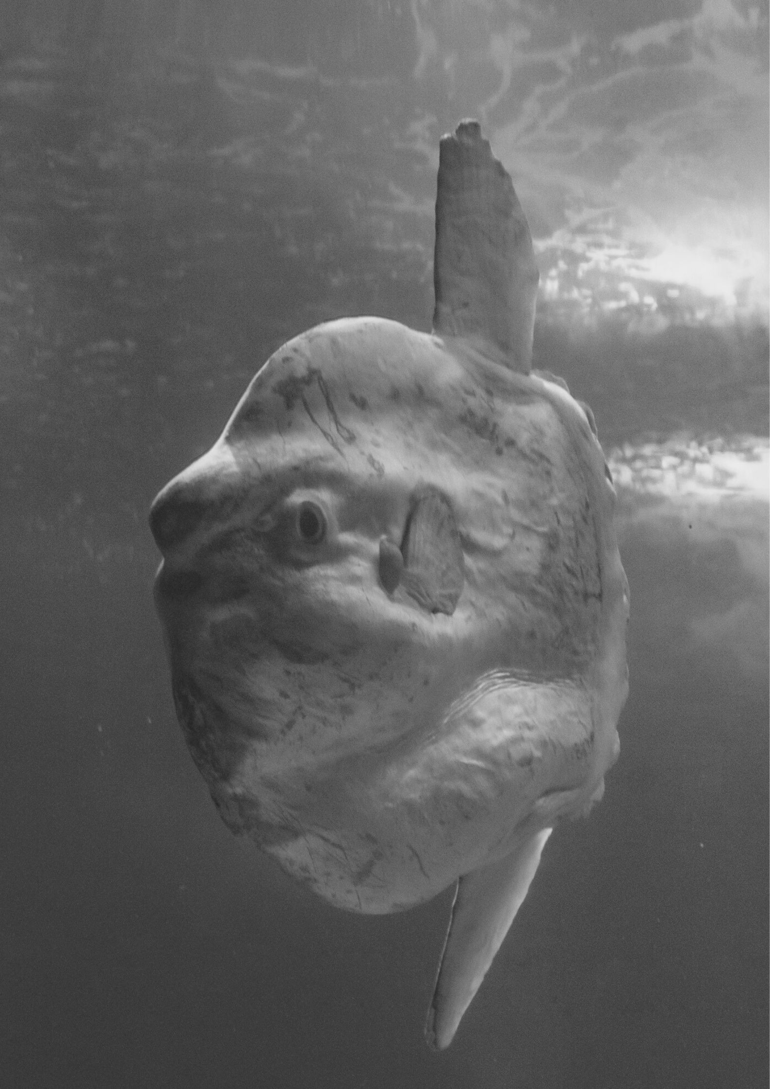 7 Horror Stories & Urban Legends from Cebu’s Streets - VisMin.ph