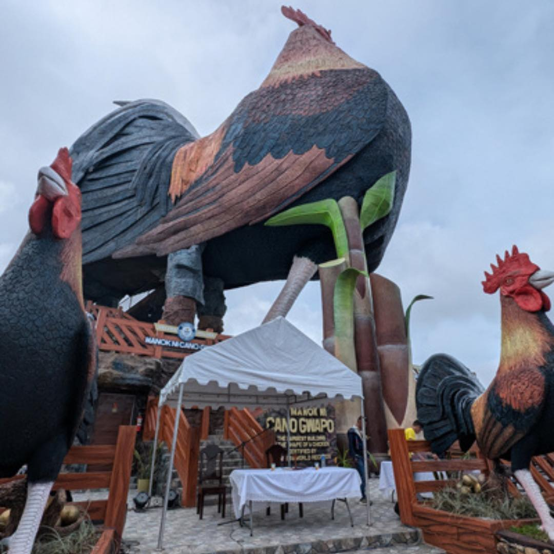 #Negros: Guinness World Record for World’s Largest Chicken-shaped Building