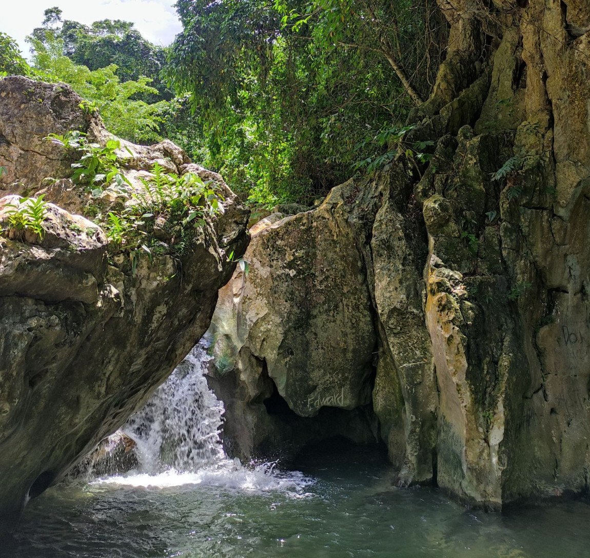 #CCPL: The Preservation of Cebu’s Biodiversity and Natural Resources ...