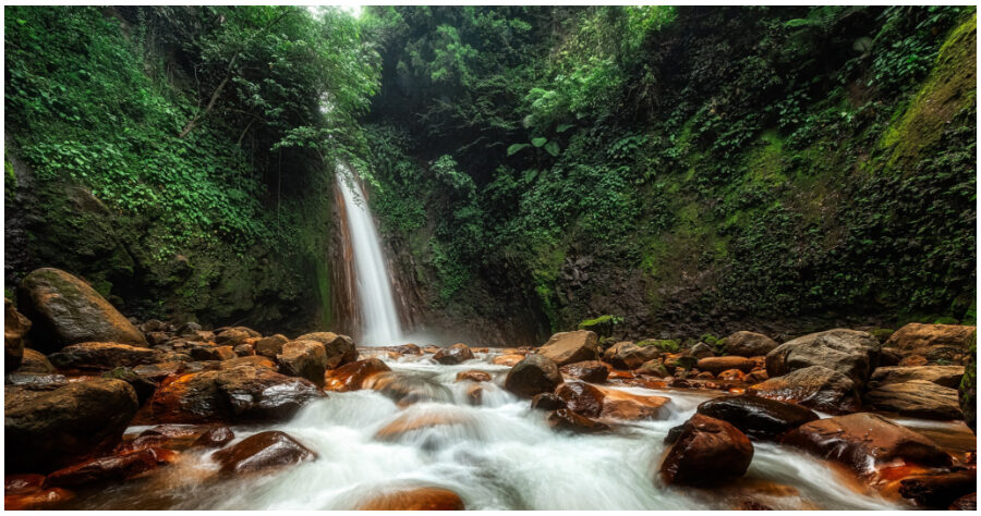 Bago City: The Green Destination of Negros City - VisMin.ph