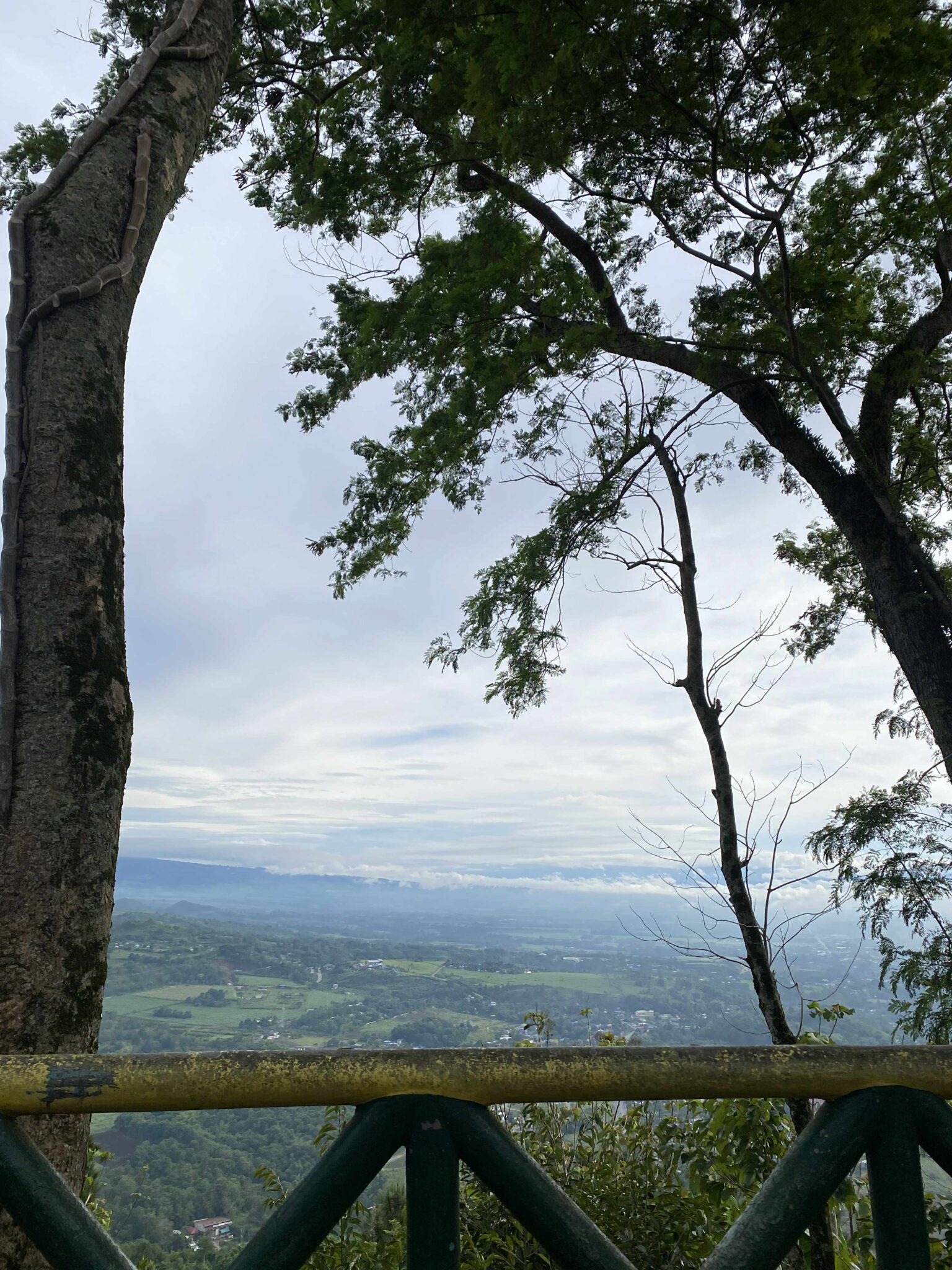 Mt. Kalayo (Calayo): Bukidnon’s Quiet but Active Volcano - VisMin.ph