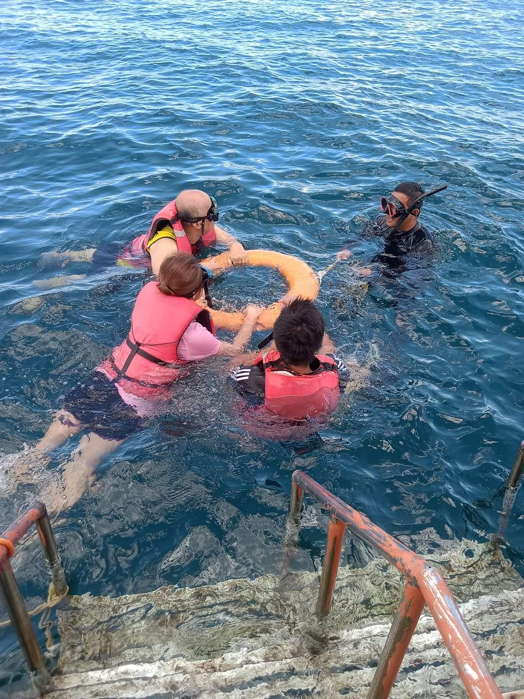 The Giant Clams of Samal Island – Yes, Dagko Kaayo! - VisMin.ph