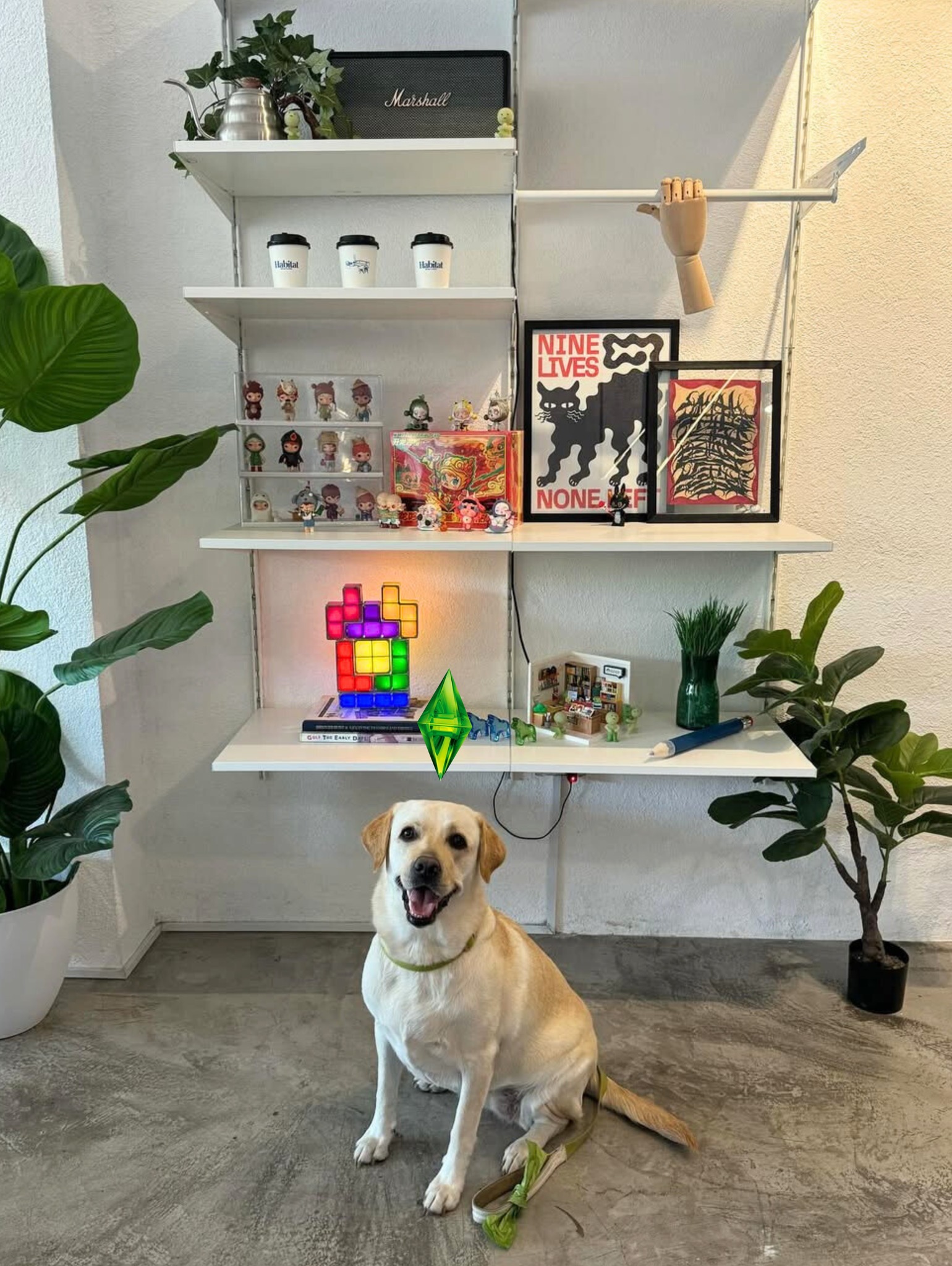 Top Coffee Shops to Try in Davao City