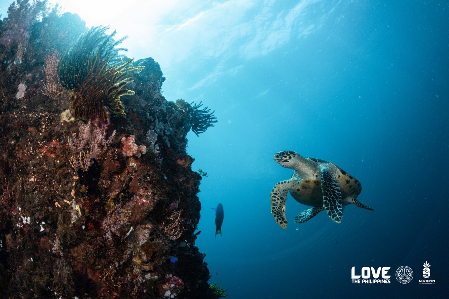 Camiguin Makes New York Times’ 52 Places List for 2026 - VisMin.ph